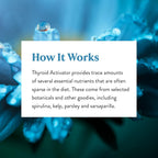 enhance wellness with thyroid activator