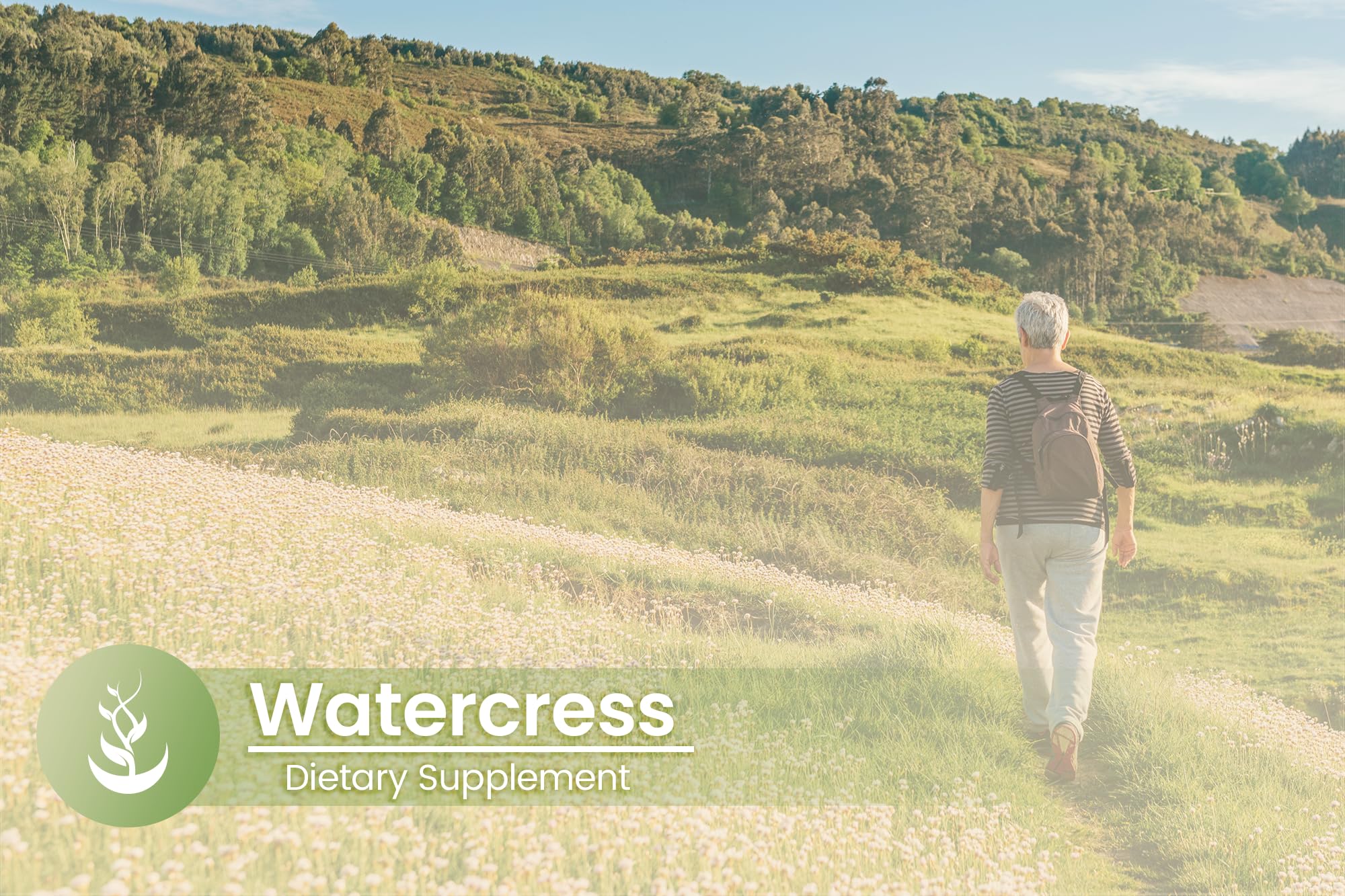 enhance wellness with watercress capsules