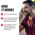 enhance workout performance with Beta-Alanine