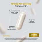 enhance workout performance with epicatechin