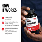 enhance workout performance with l-carnitine