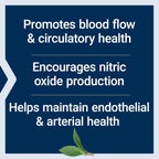 Enhance workout performance with NitroVasc