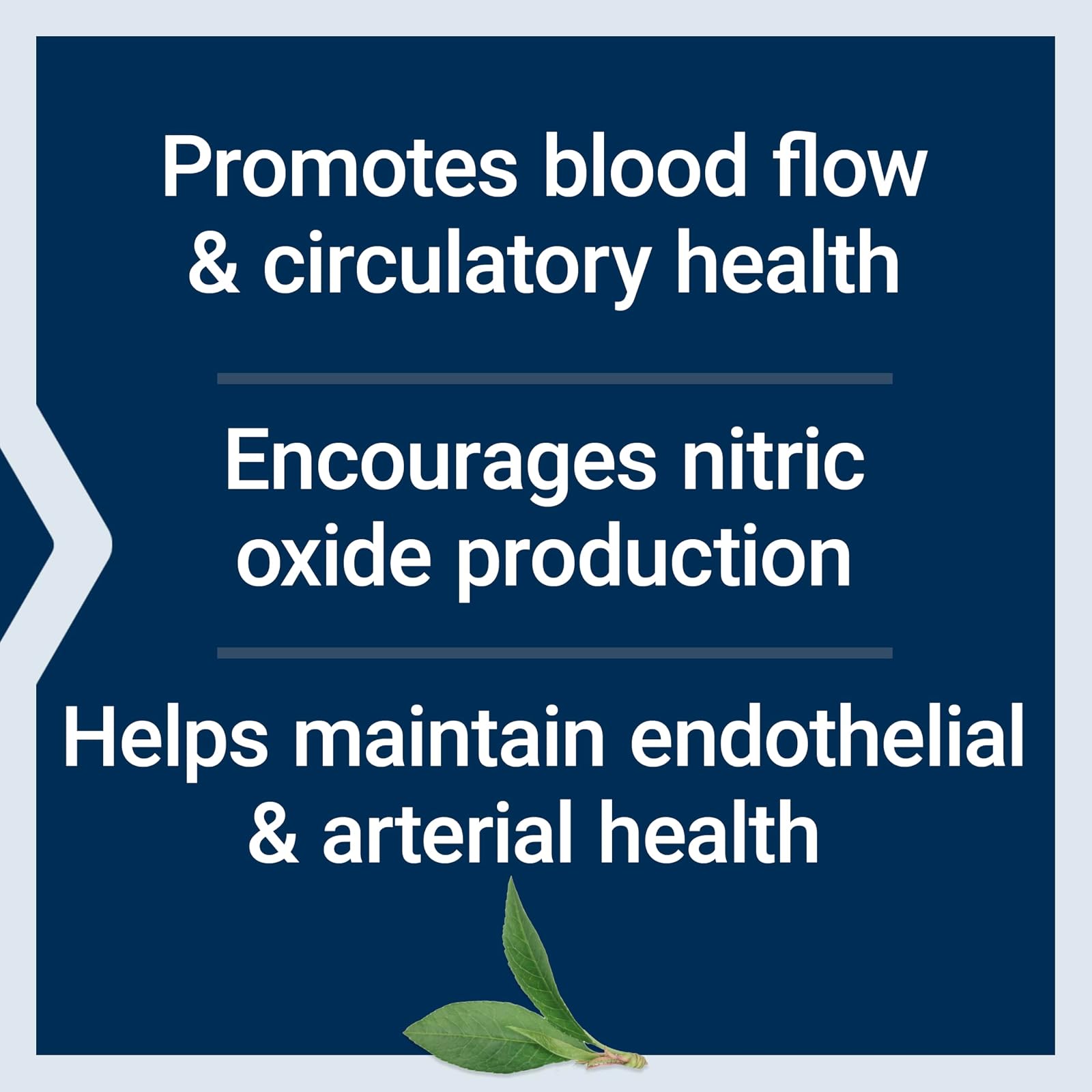 Enhance workout performance with NitroVasc