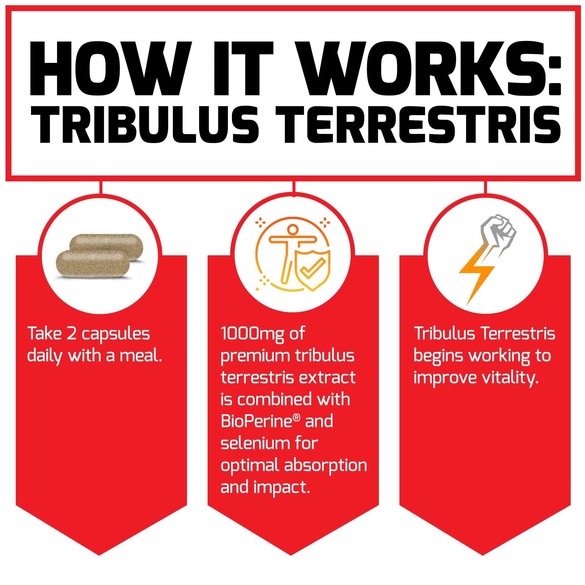 enhance workout results with tribulus