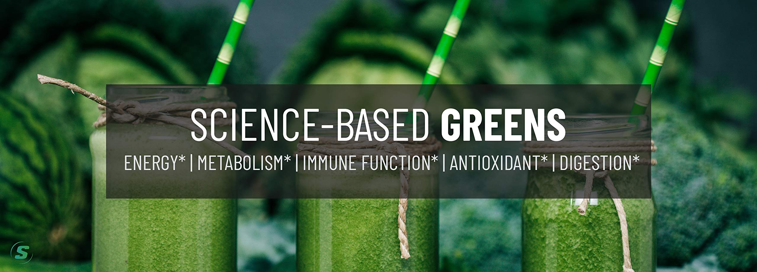enhance workouts with superfood powder