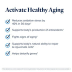 enhance your body's antioxidant defence