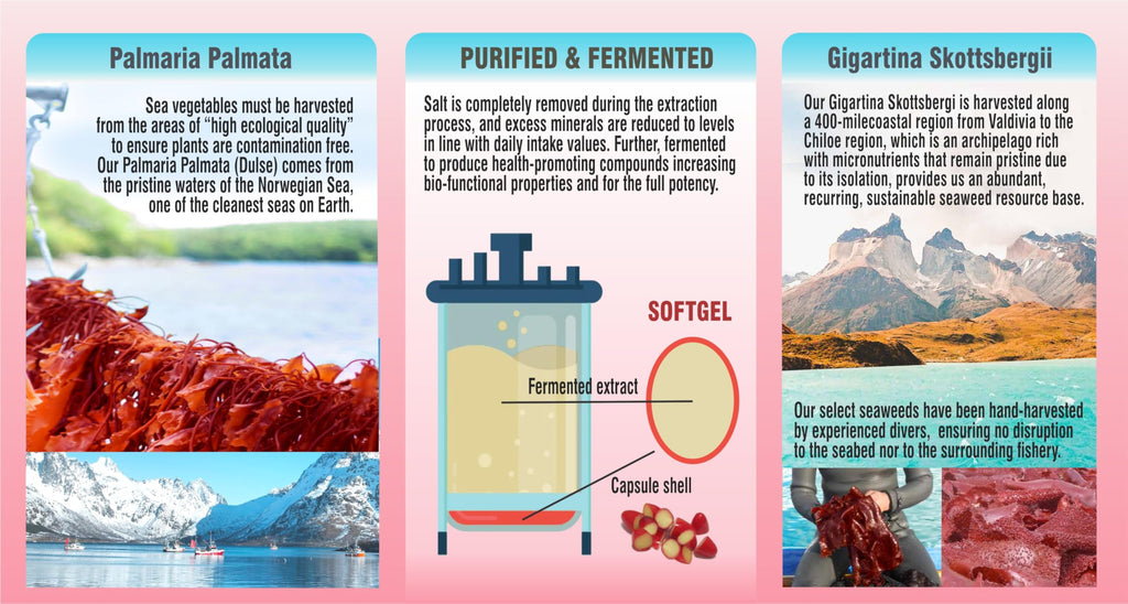 enhance your daily nutrition routine
