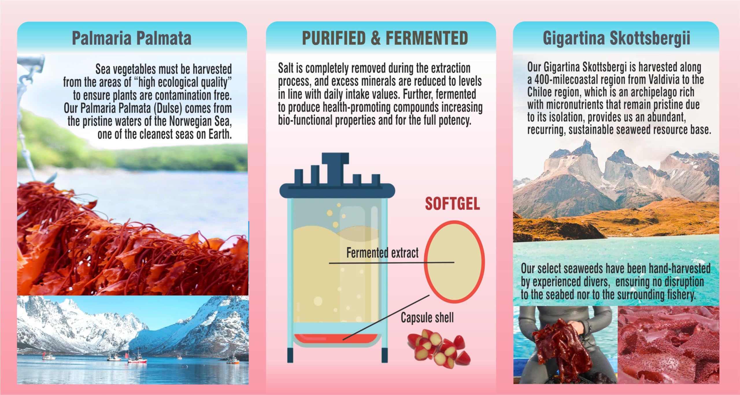 enhance your daily nutrition routine