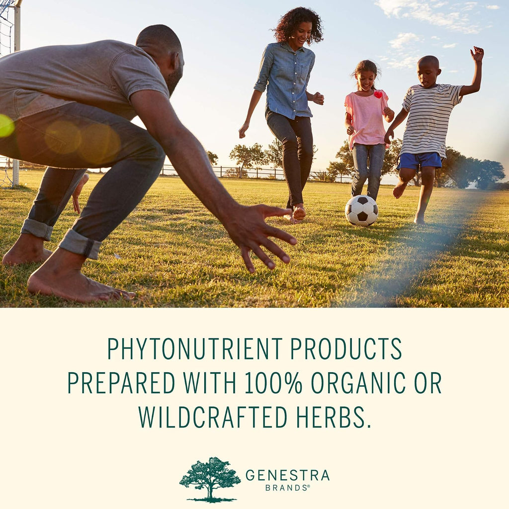 enhance your diet with Phyto Greens
