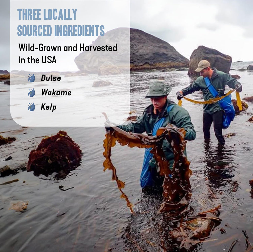enhance your diet with seaweed