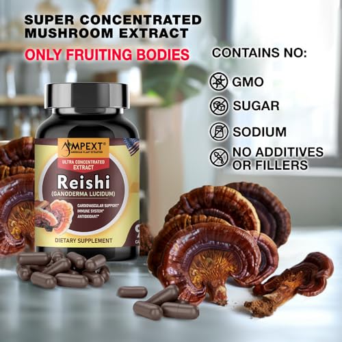 Enhance your health with mushrooms