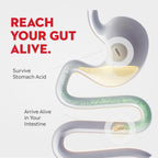 enhance your microbiome balance
