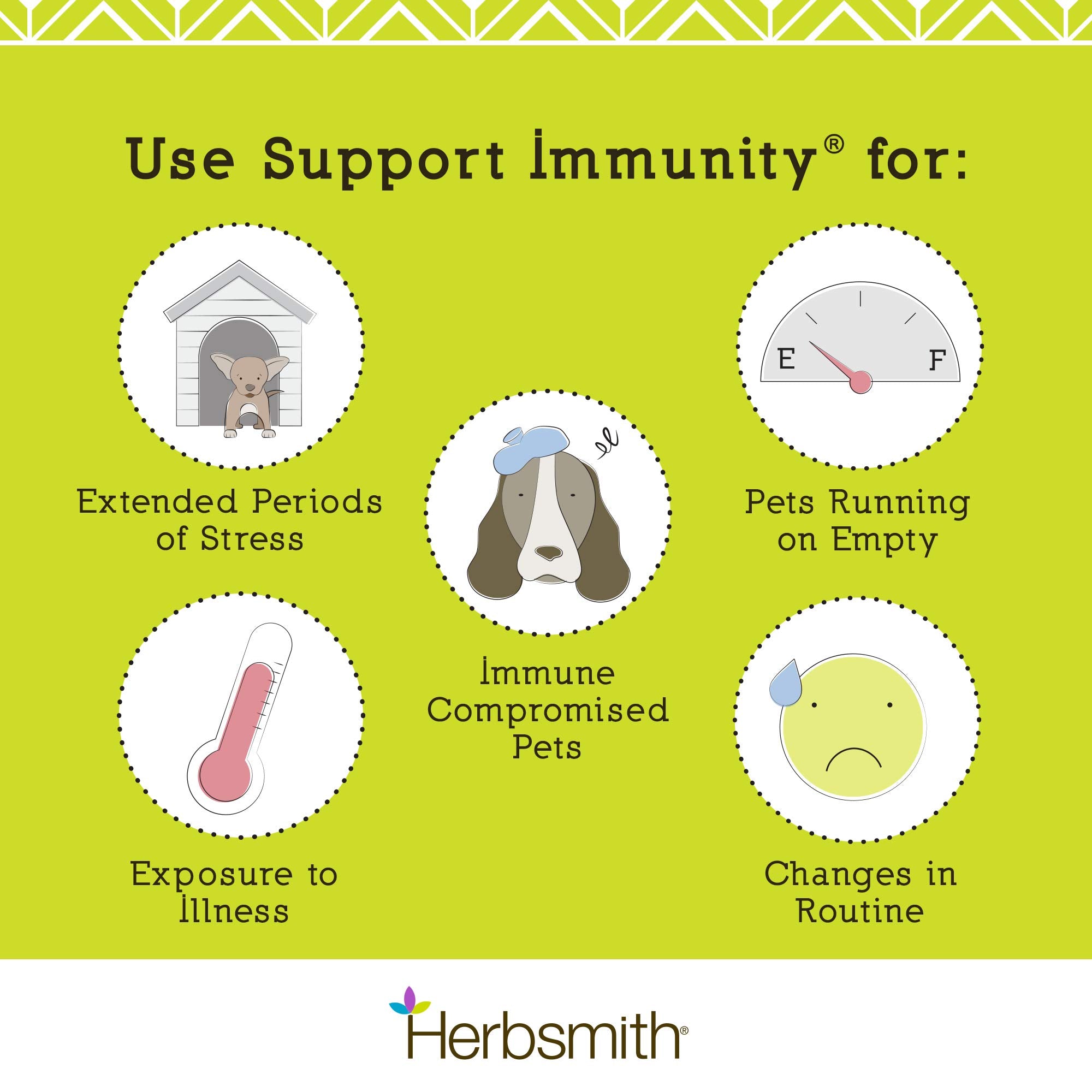 enhance your pet's vitality naturally