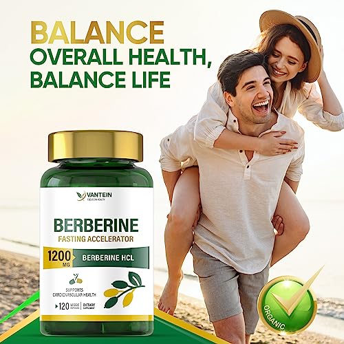Enhanced absorption berberine supplement