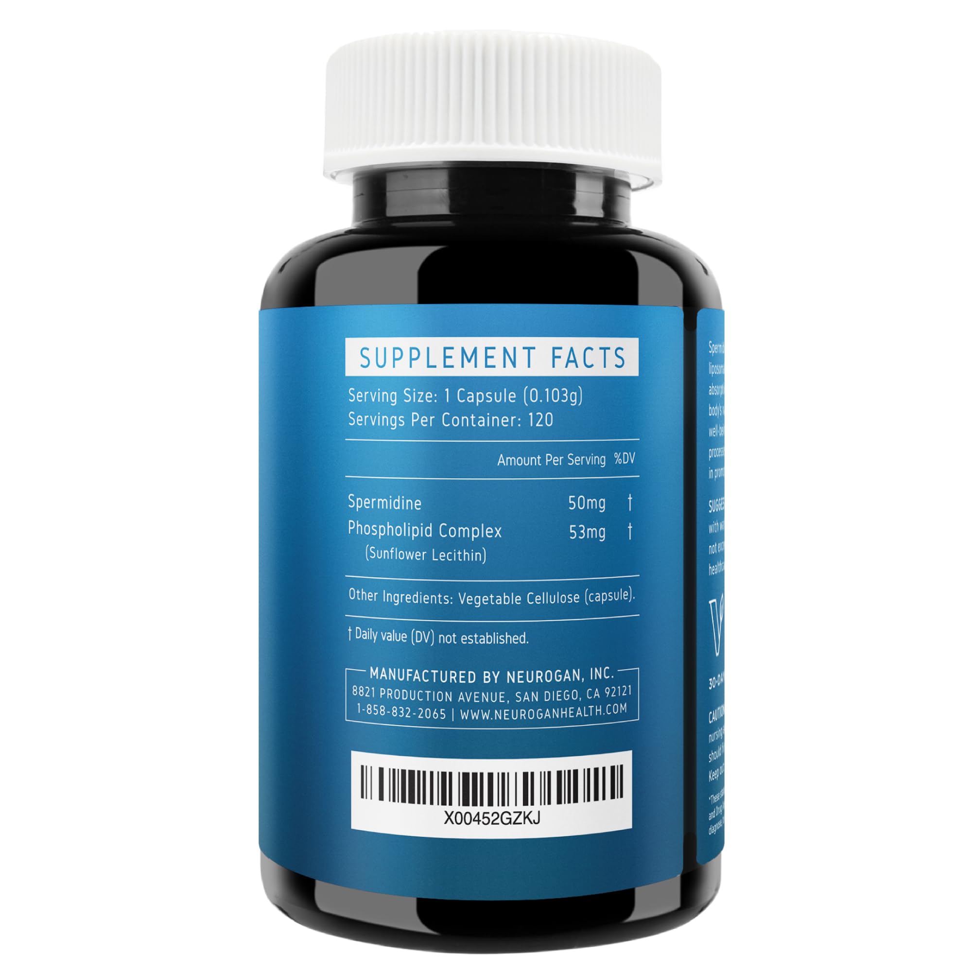 enhanced absorption blended vitamin supplement