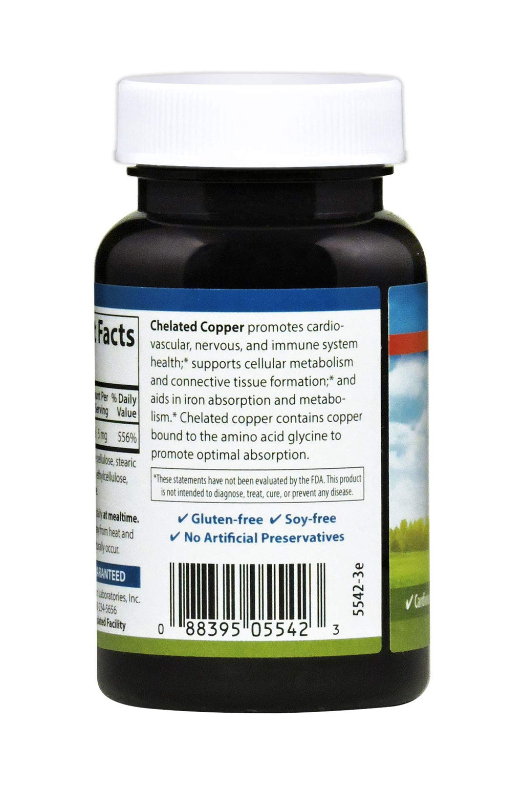 enhanced absorption copper supplement