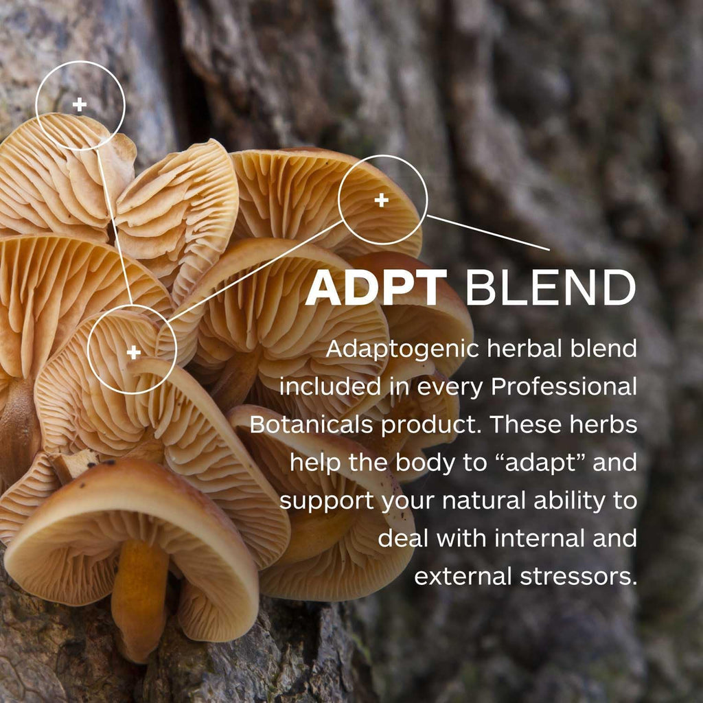 enhanced absorption CoQ10 with natural ingredients