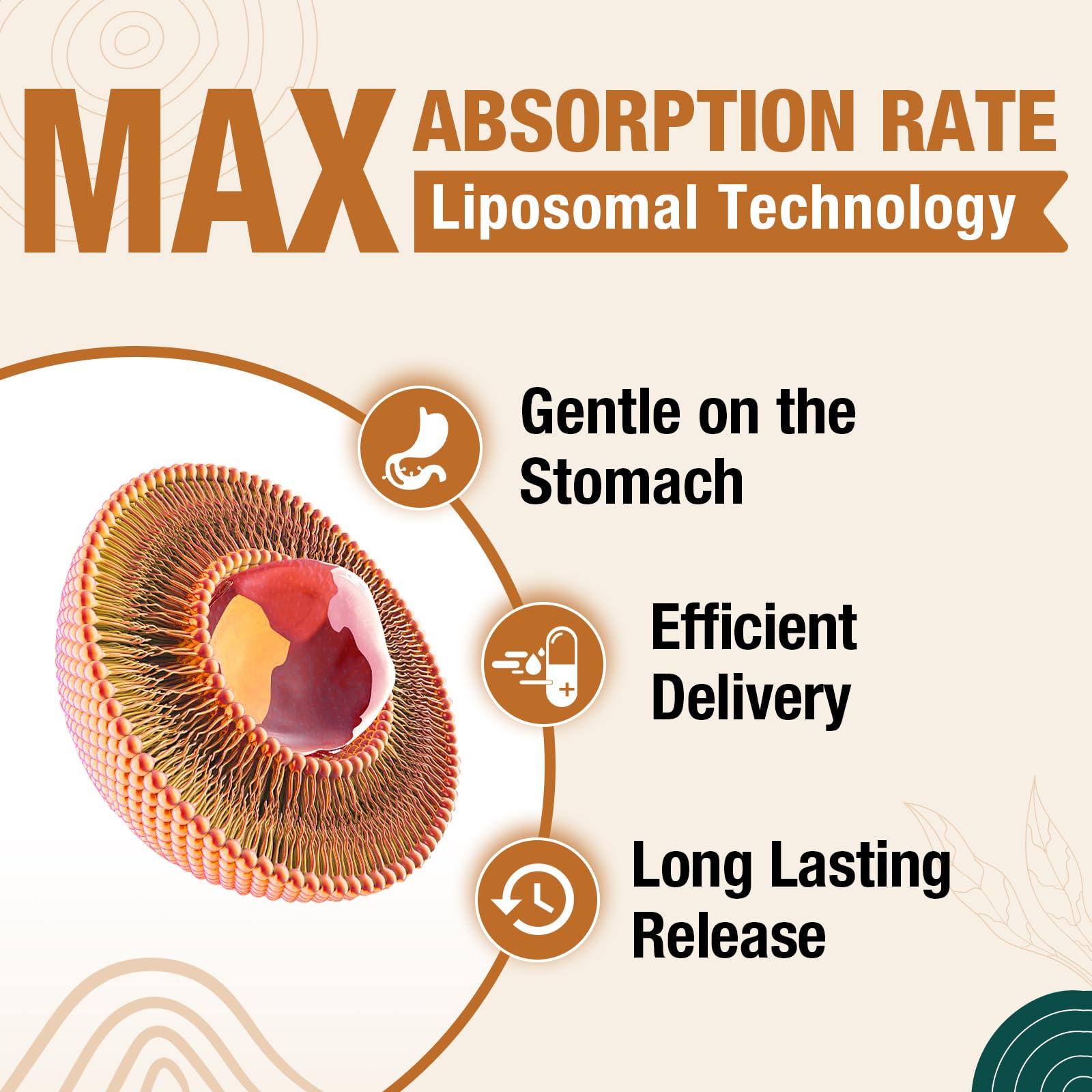 enhanced absorption curcumin formula