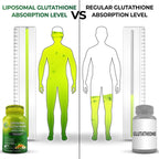 enhanced absorption liposomal glutathione