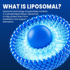 Enhanced absorption liposomal glutathione