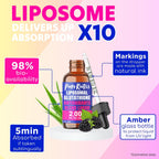 enhanced absorption liposomal glutathione