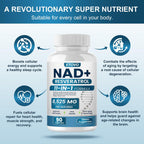 enhanced absorption liposomal technology