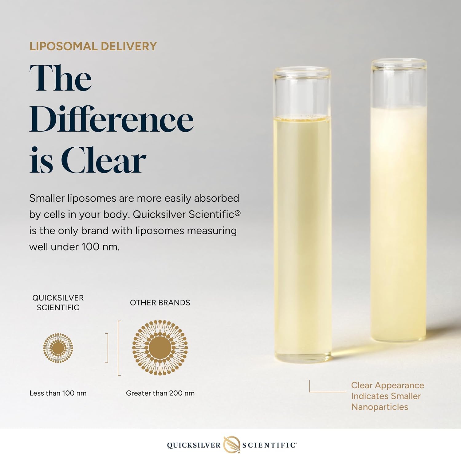 Enhanced absorption liposomal vitamins