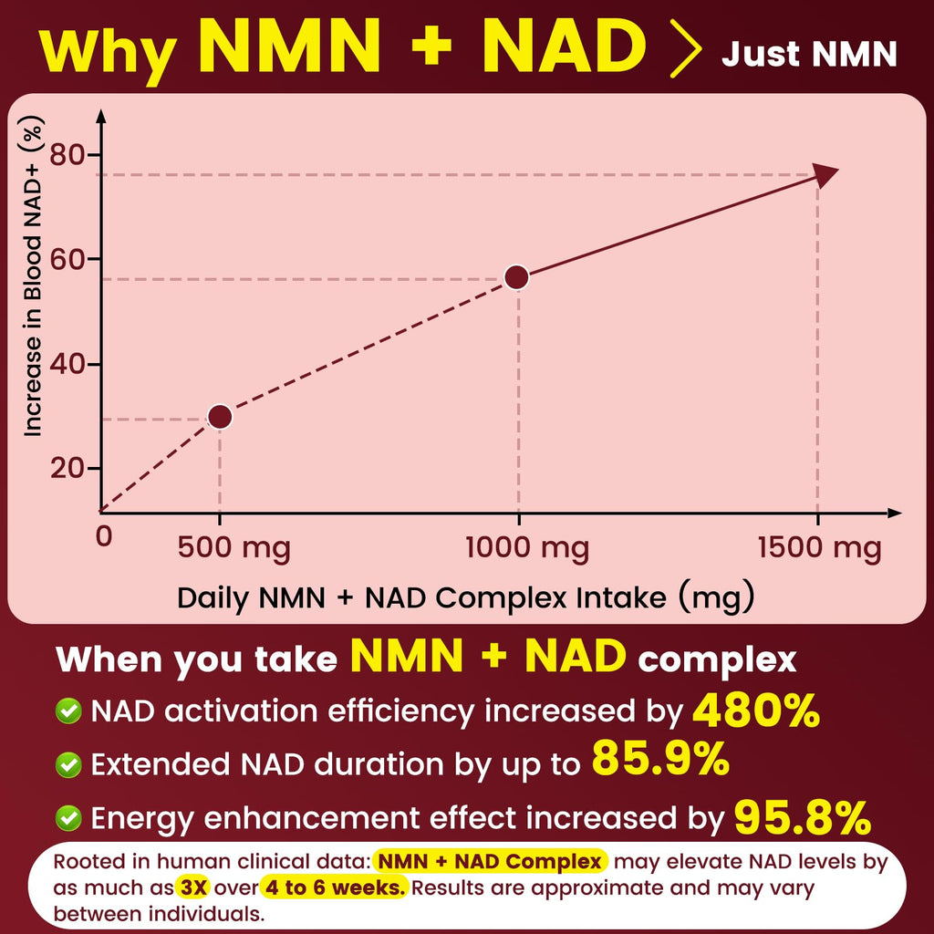 Enhanced absorption NMN capsules