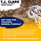 enhanced absorption of trace minerals