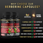 enhanced absorption with dihydroberberine formula