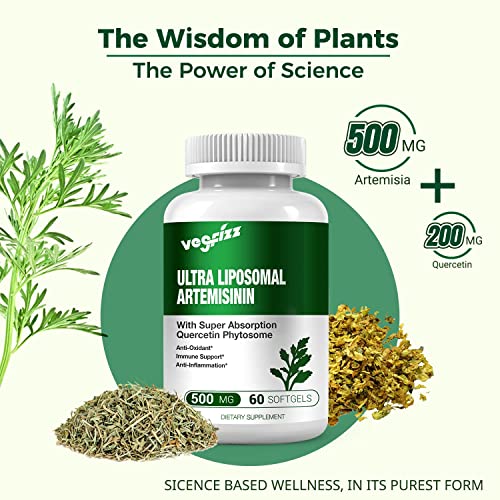enhanced absorption with quercetin