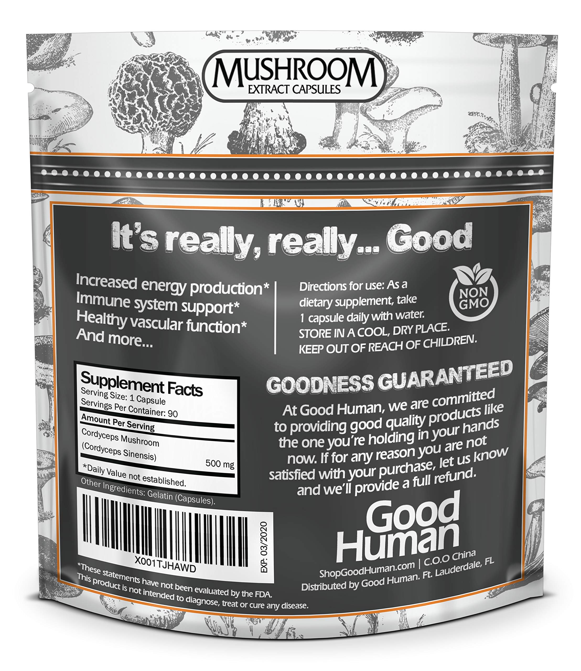 enhanced athletic performance mushroom supplement