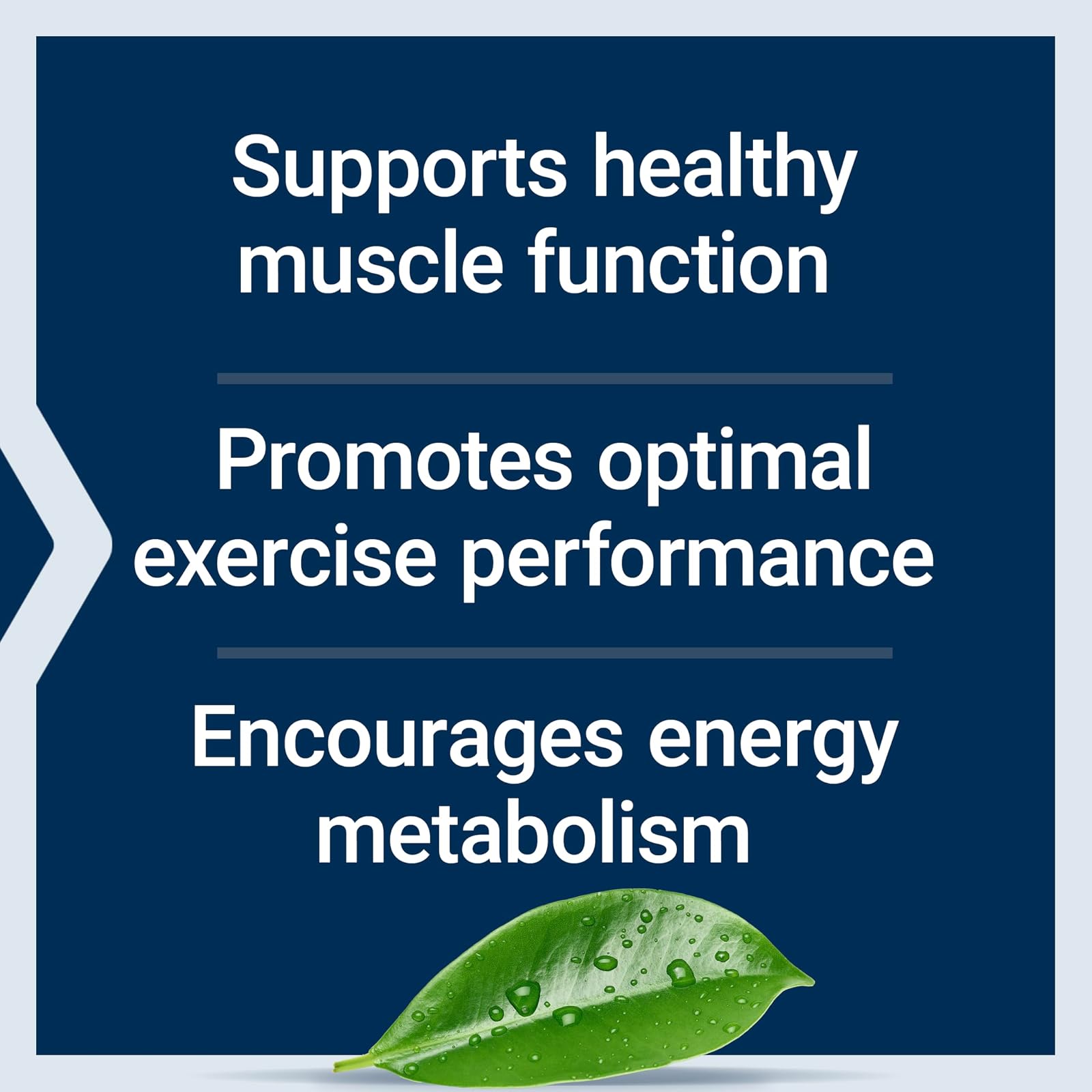 enhanced athletic performance with creatine