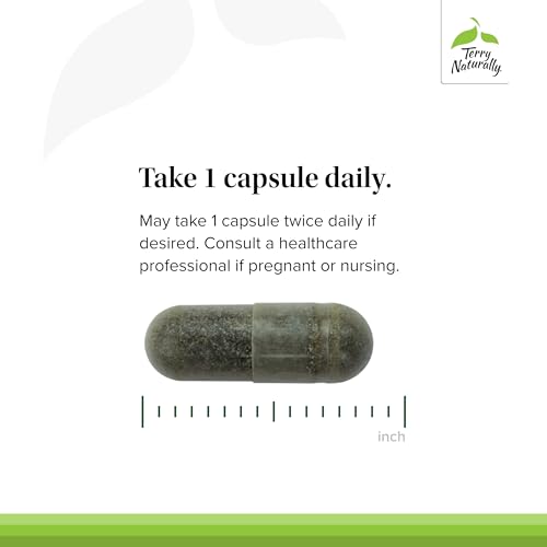 enhanced brain function with andrographis