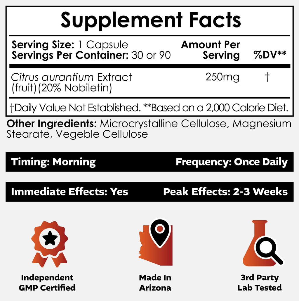 enhanced brain function with Nootropics Depot