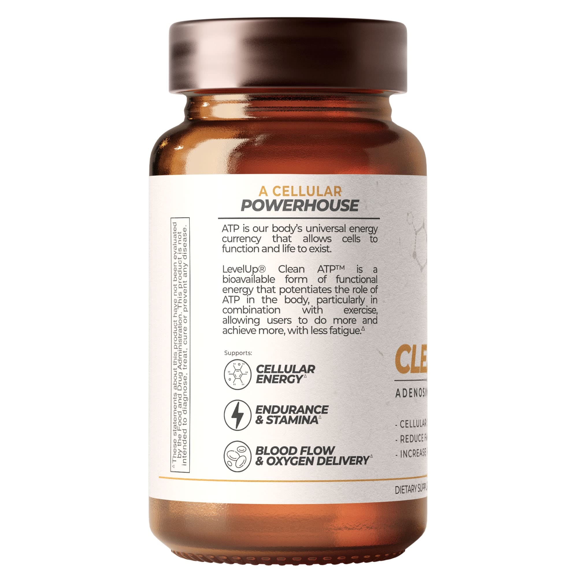 enhanced cognition with ATP capsules