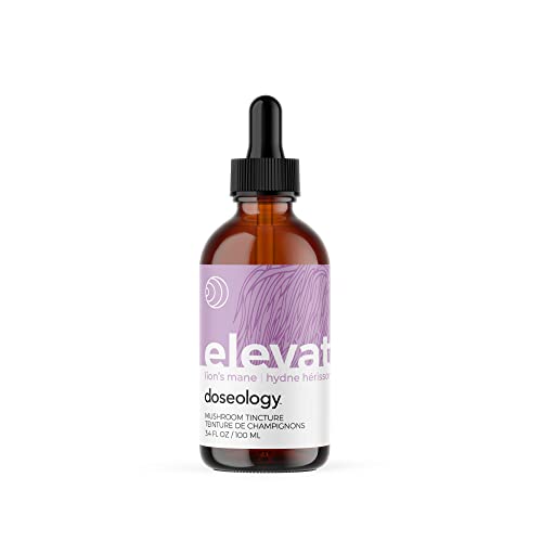 enhanced cognition with mushroom extract