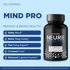 enhanced cognitive function vitamins