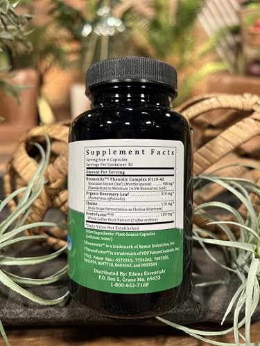 enhanced cognitive function with Edens Brain Power
