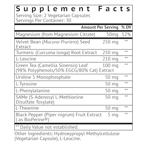enhanced cognitive function with mucuna pruriens
