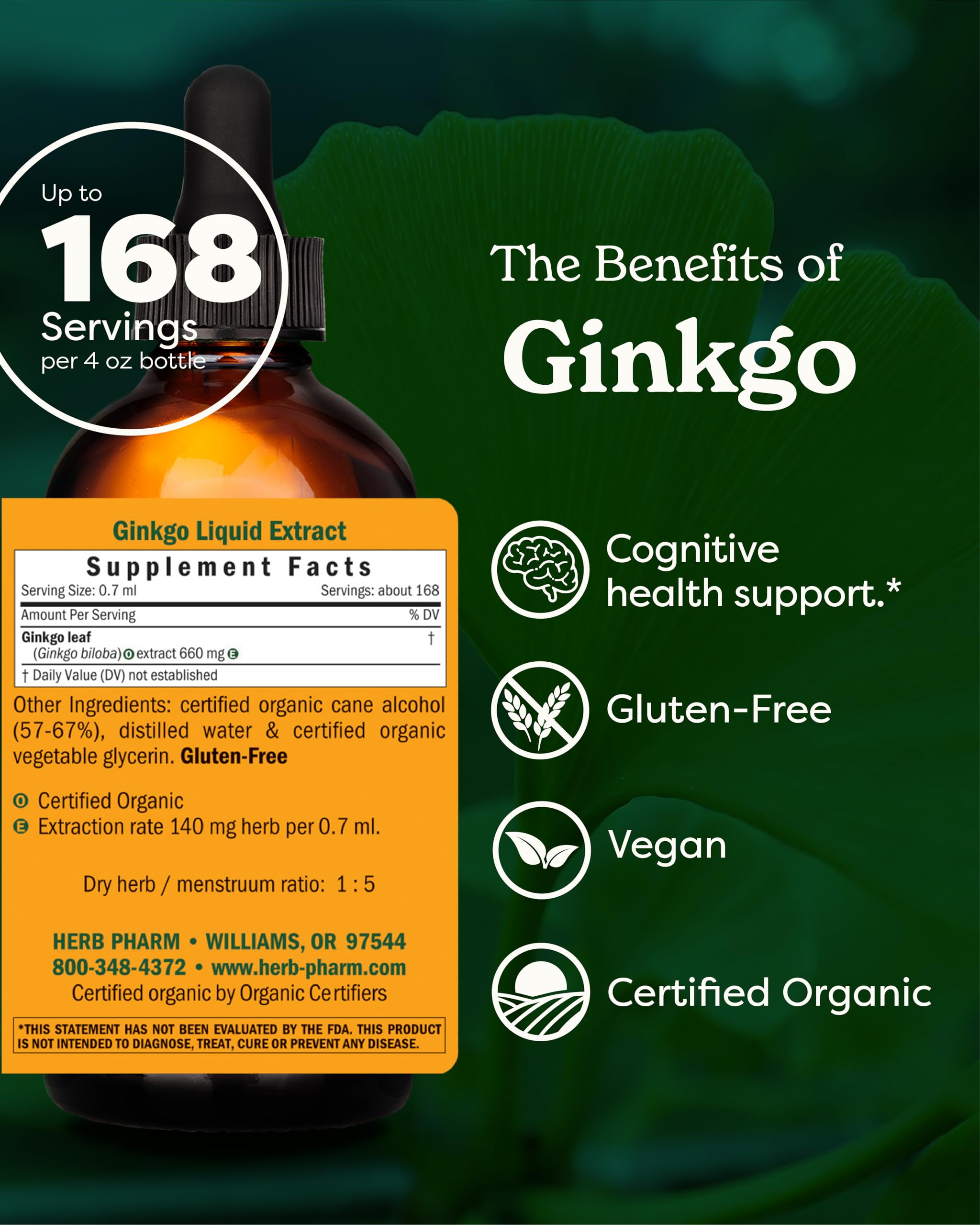 enhanced concentration with ginkgo biloba