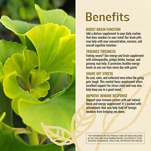 enhanced concentration with ginkgo biloba