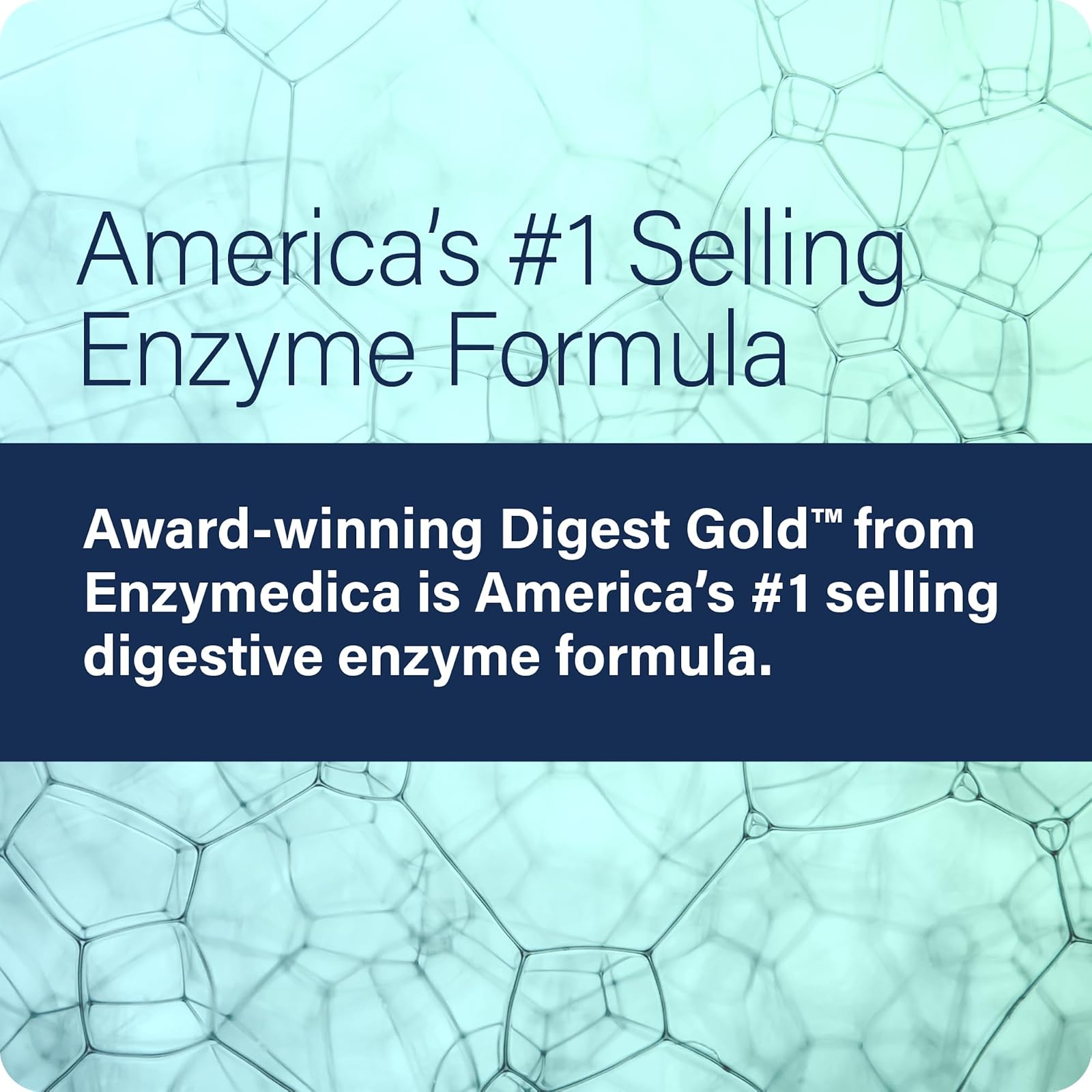 enhanced digestion with digestive enzymes