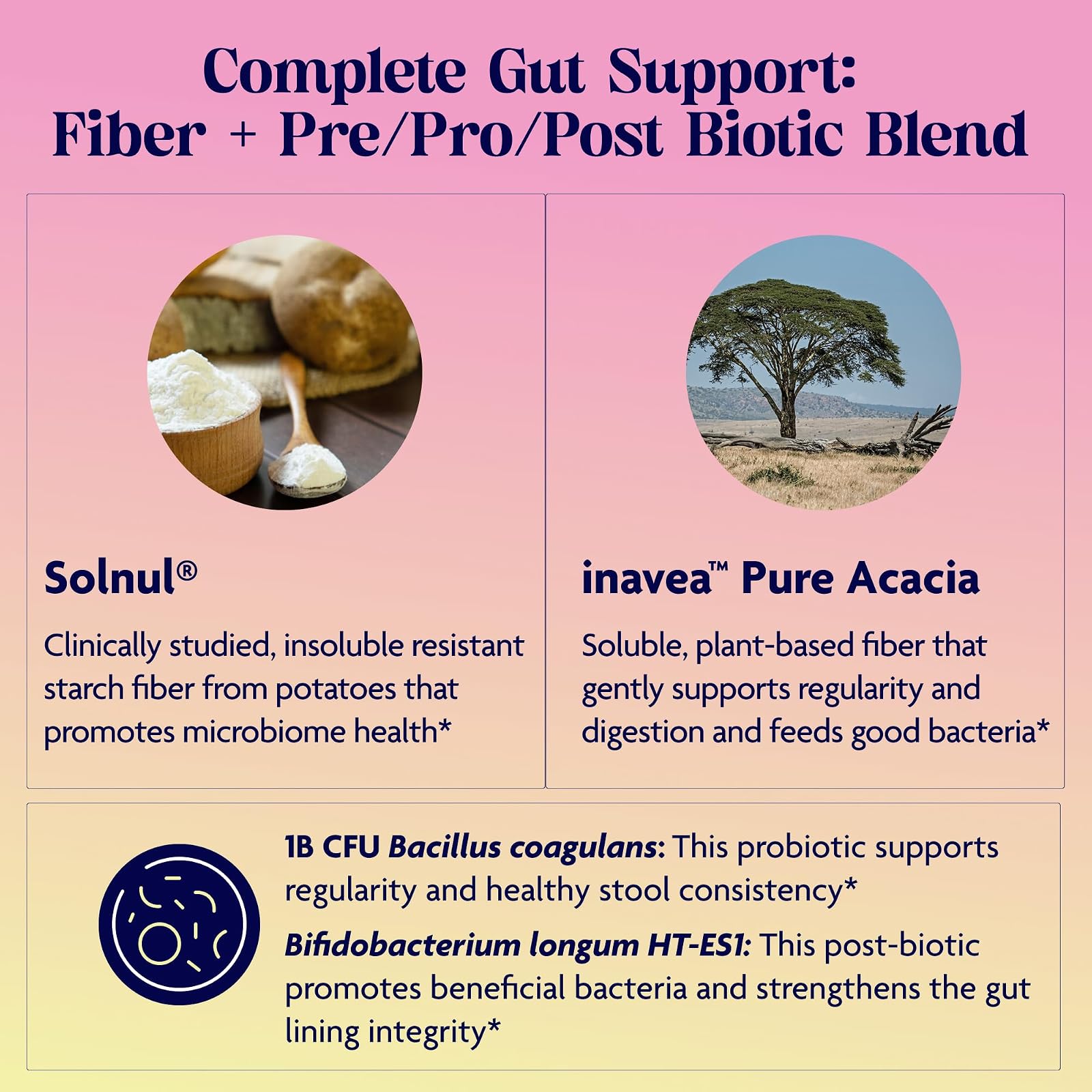 enhanced digestion with Enzymedica prebiotics