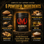 enhanced digestion with fiber supplement