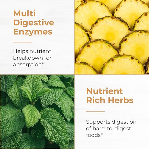 enhanced digestion with ginger enzymes
