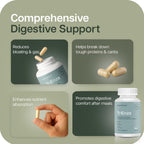 enhanced digestion with Houston Enzymes