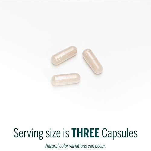 enhanced digestion with Ichol Plus