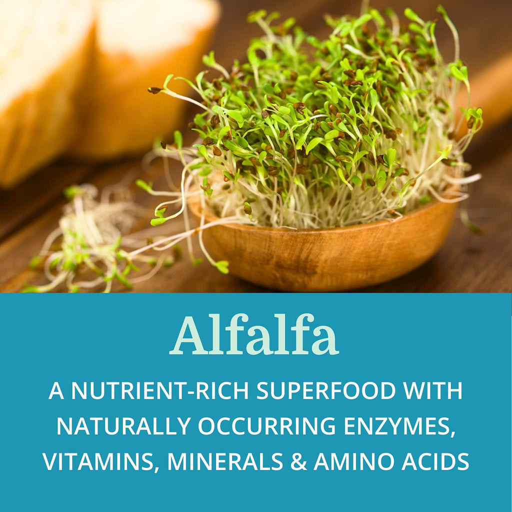 enhanced digestion with Morter SuperDigest