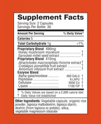 enhanced digestion with probiotics